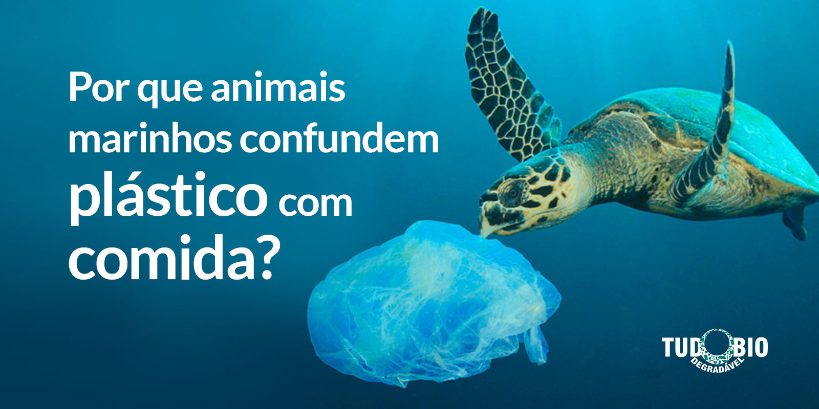 Por que os animais marinhos confundem plástico com comida ...